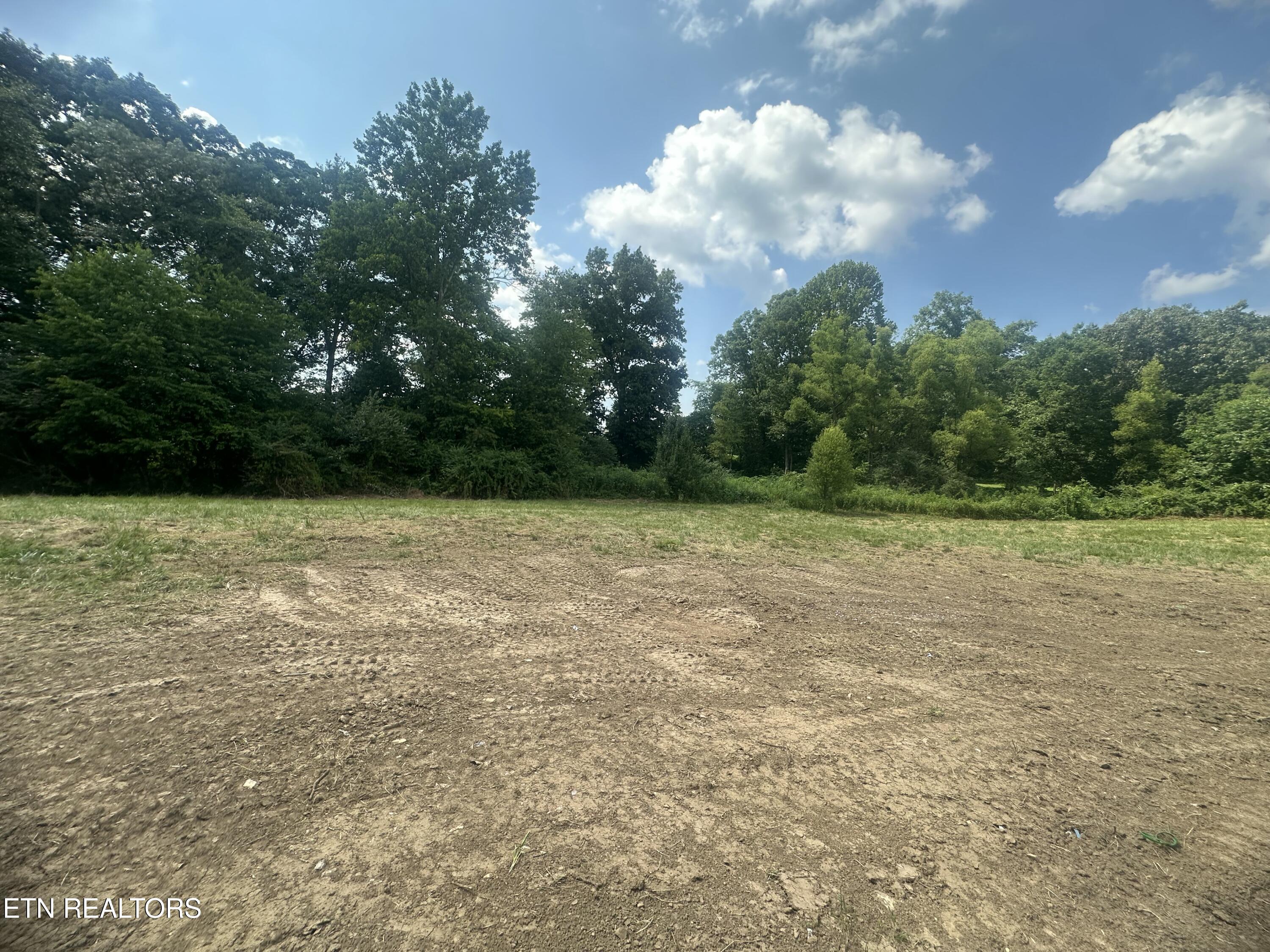 Is this your next house? | 250 Old Grimsley Court