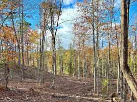 222-3 Fisher Road , Deering, NH 03244.