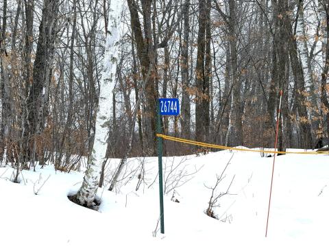 26744 Ross Lake Road , Aitkin, MN 56431.