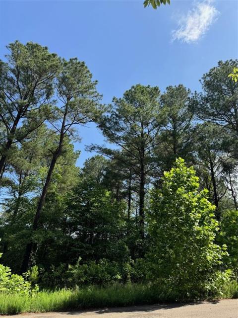 49 Blue Maple Trail , Broken Bow, OK 74728.